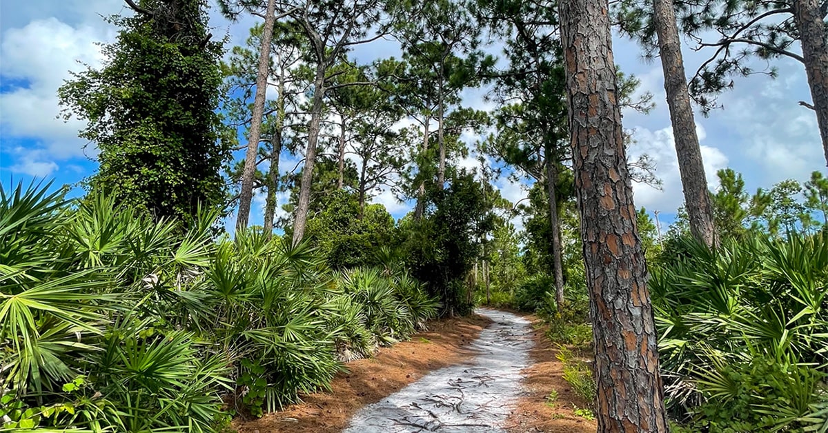 Martin County Going Green: Parks, Preserves, and Trails